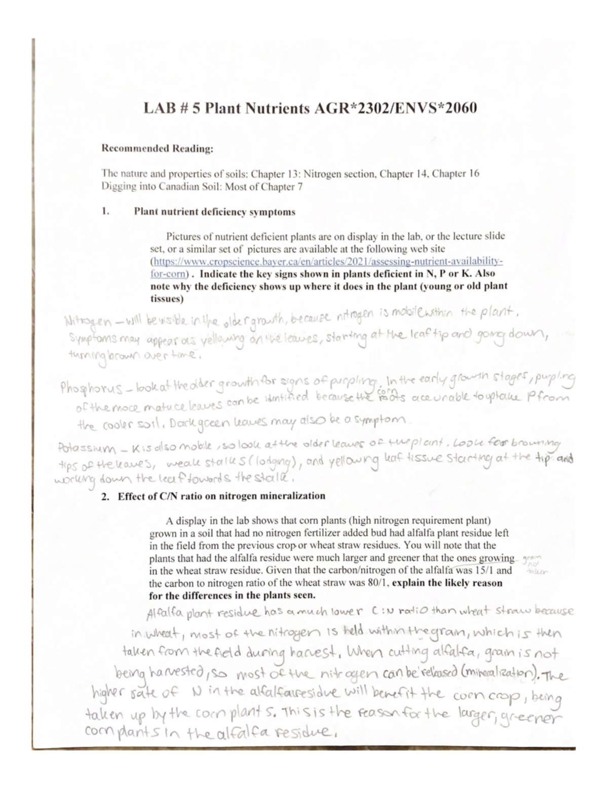 Soils lab 5 - lab - LAB 5 Plant Nutrients Recommended Reading: The ...