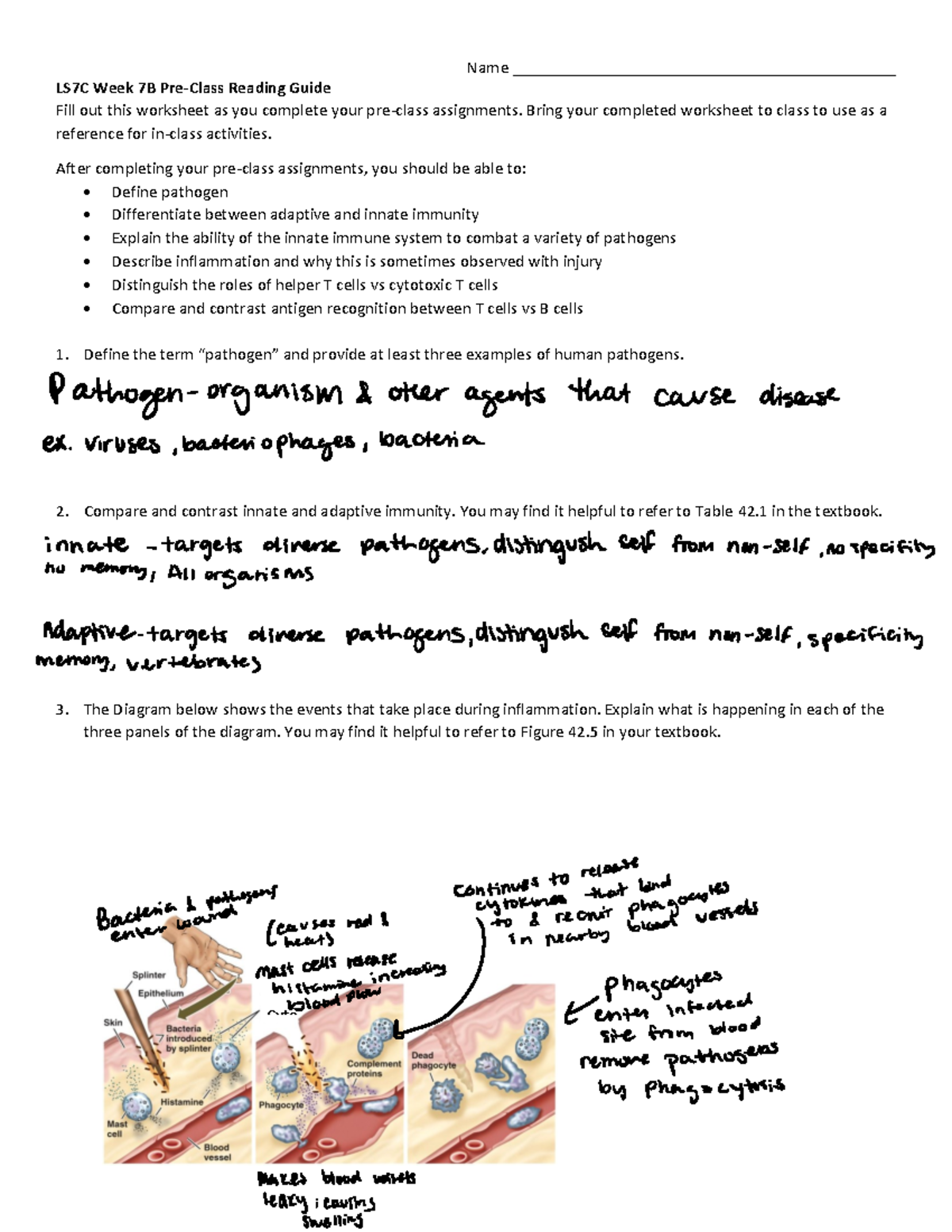 Pre class guide - Name ...