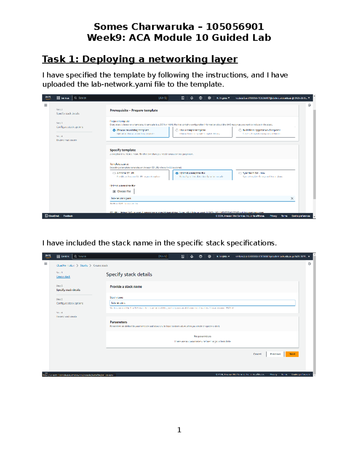 Task 1 - Week9: ACA Module 10 Guided Lab Task 1: Deploying a networking ...