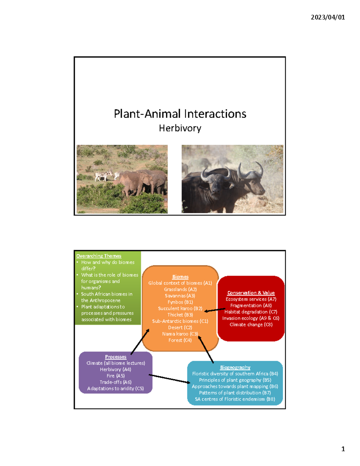 BOT251 Herbivory - Plant‐Animal Interactions Herbivory Biomes Global ...