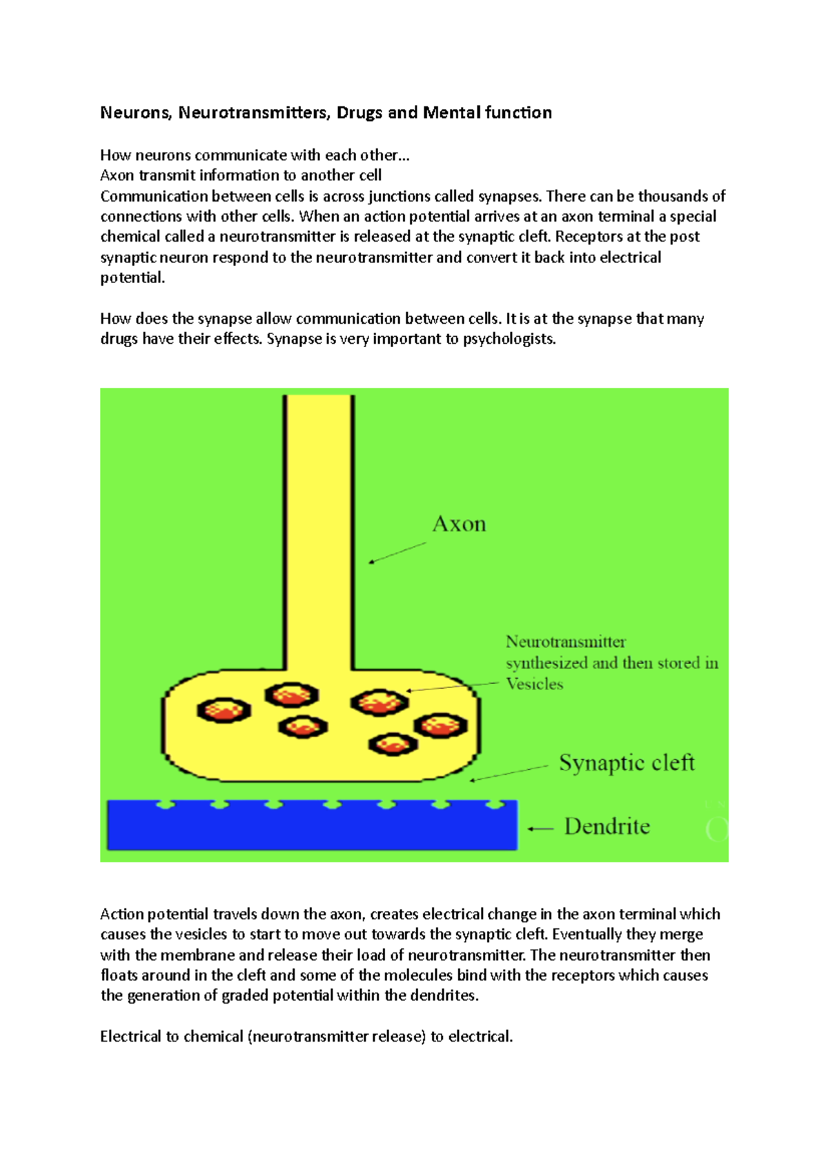 Neurons, Neurotransmitters, Drugs and Mental Function - .. Axon ...