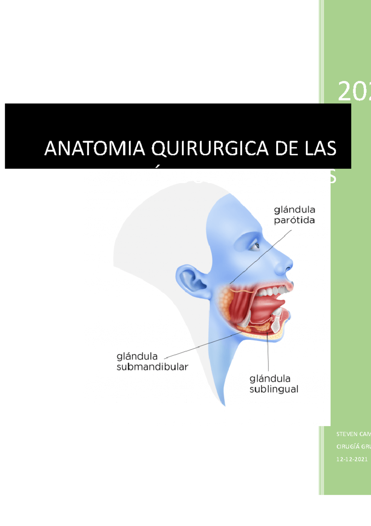 Anatomía Quirurgica DE LAS Glandulas Salivales - 2021 STEVEN CAMP ...