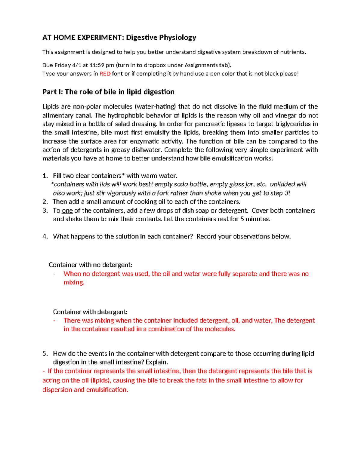 At Home Experiment Digestive Physiology SP22 - AT HOME EXPERIMENT ...