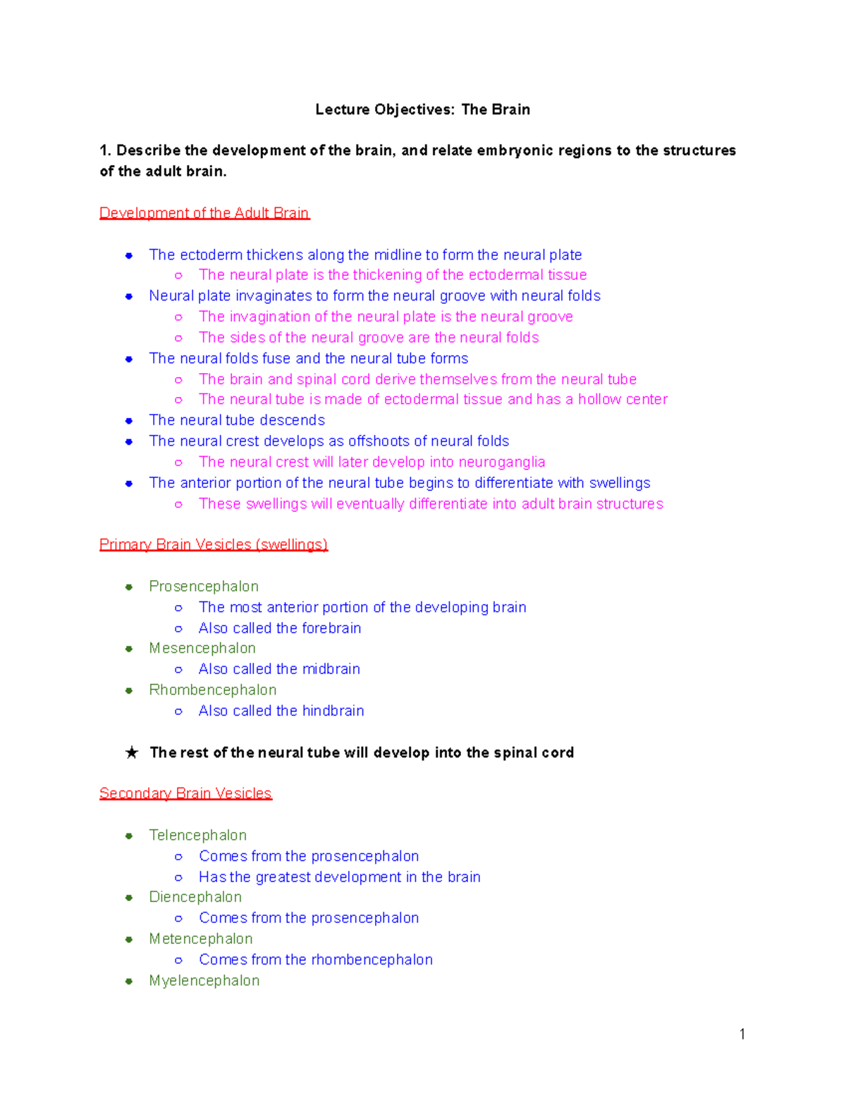 Test 4 The Brain - Lecture notes - Lecture Objectives: The Brain ...