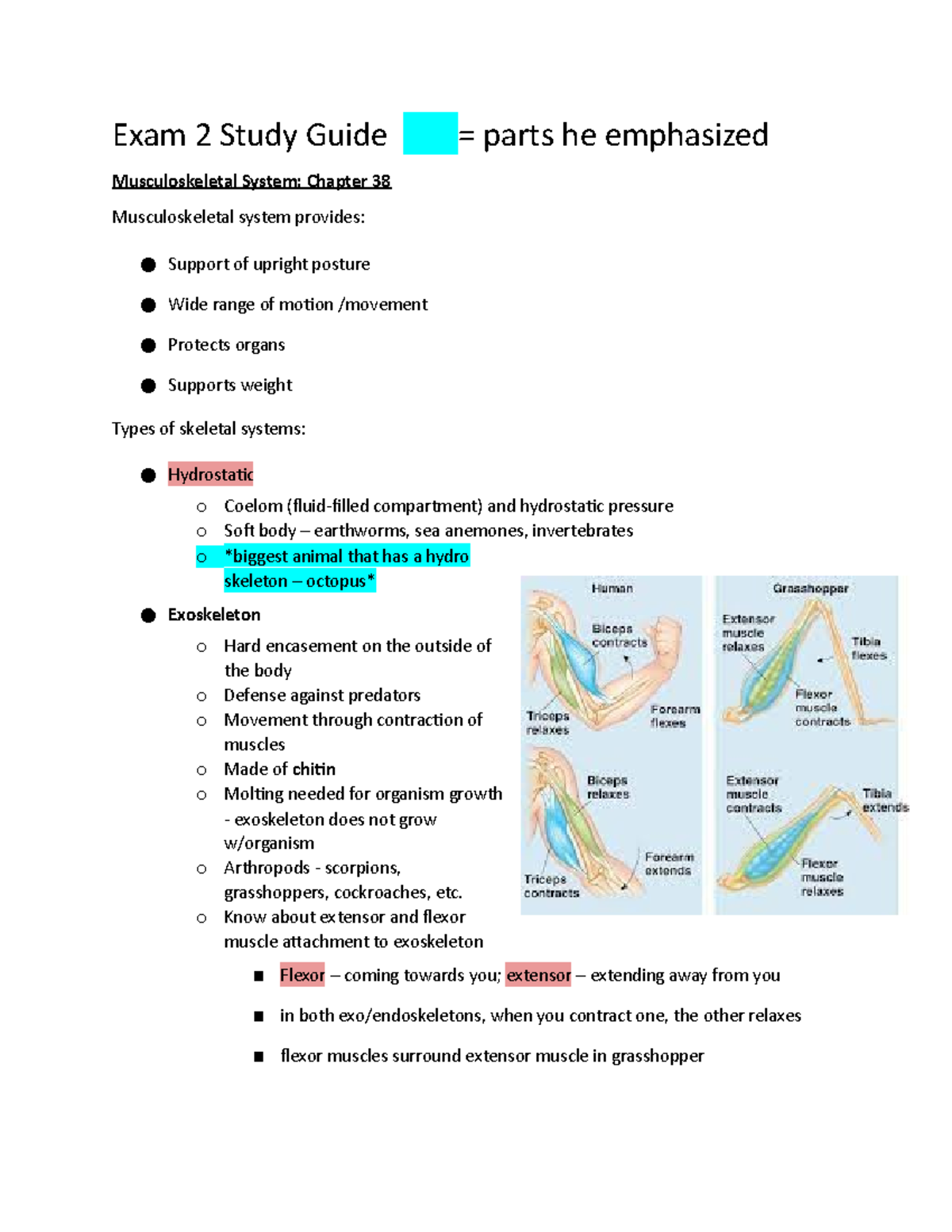 Exam 2 Study Guide - Exam 2 test review - Professor Art Goven III ...