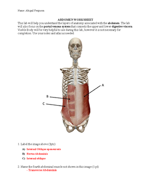 Thorax Worksheet-1 - Dr. Benjamin M. Auerbach - THORAX WORKSHEET Part 1 ...