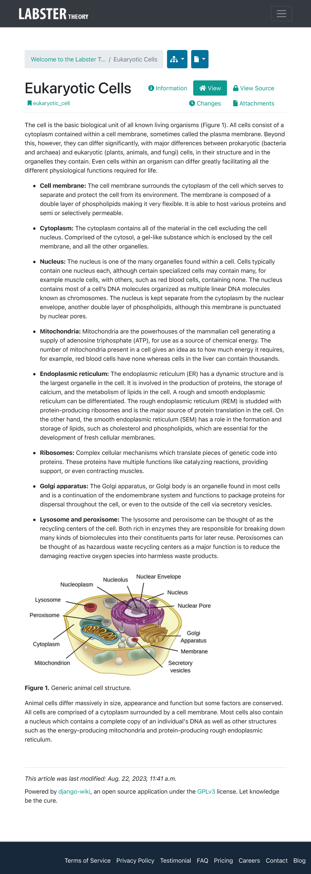 Eukaryotic Cells - Labster Theory - Terms of Service Privacy Policy ...