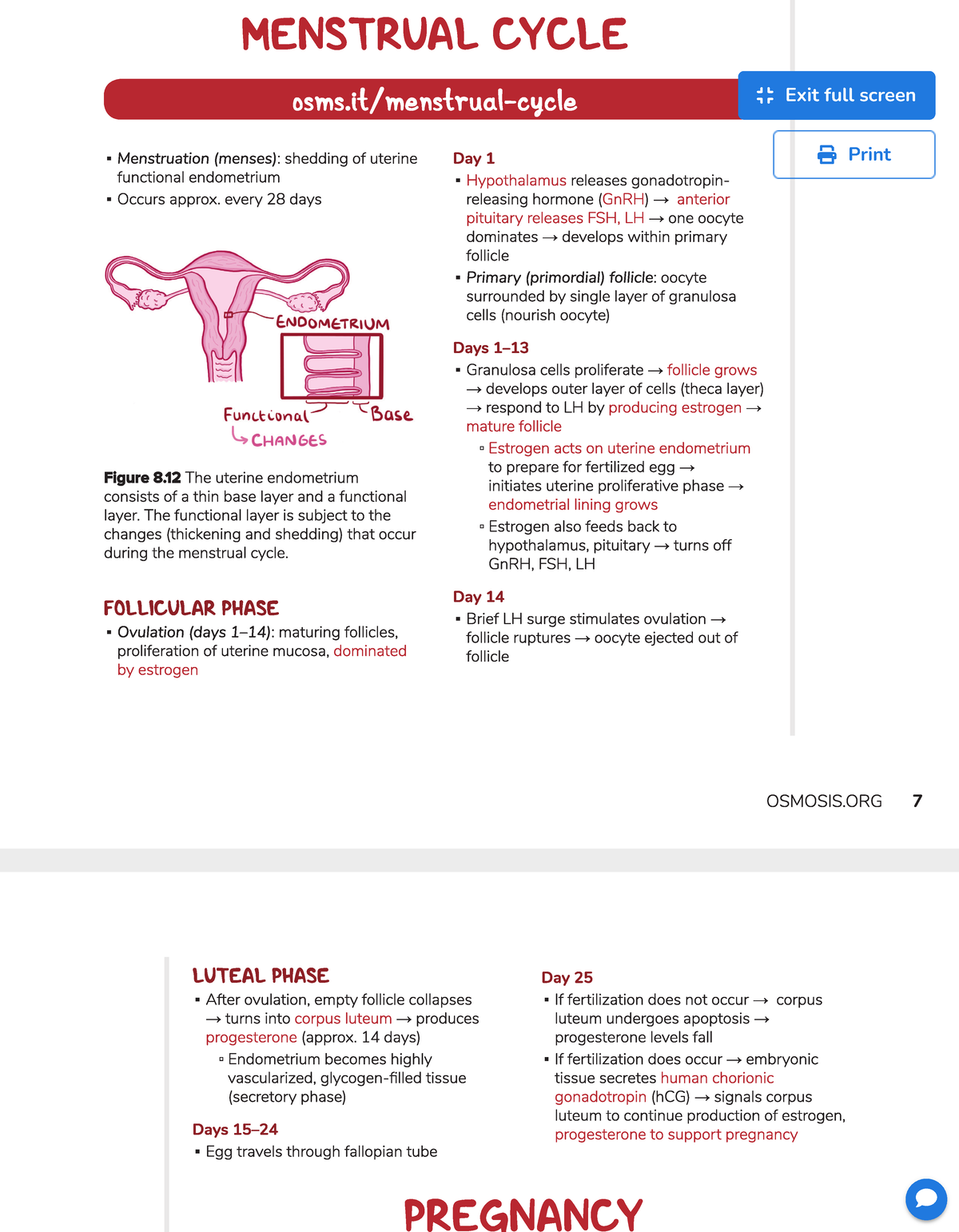 Female reproductive system Notes Diagrams & Illustrations Osmosis - NUR ...