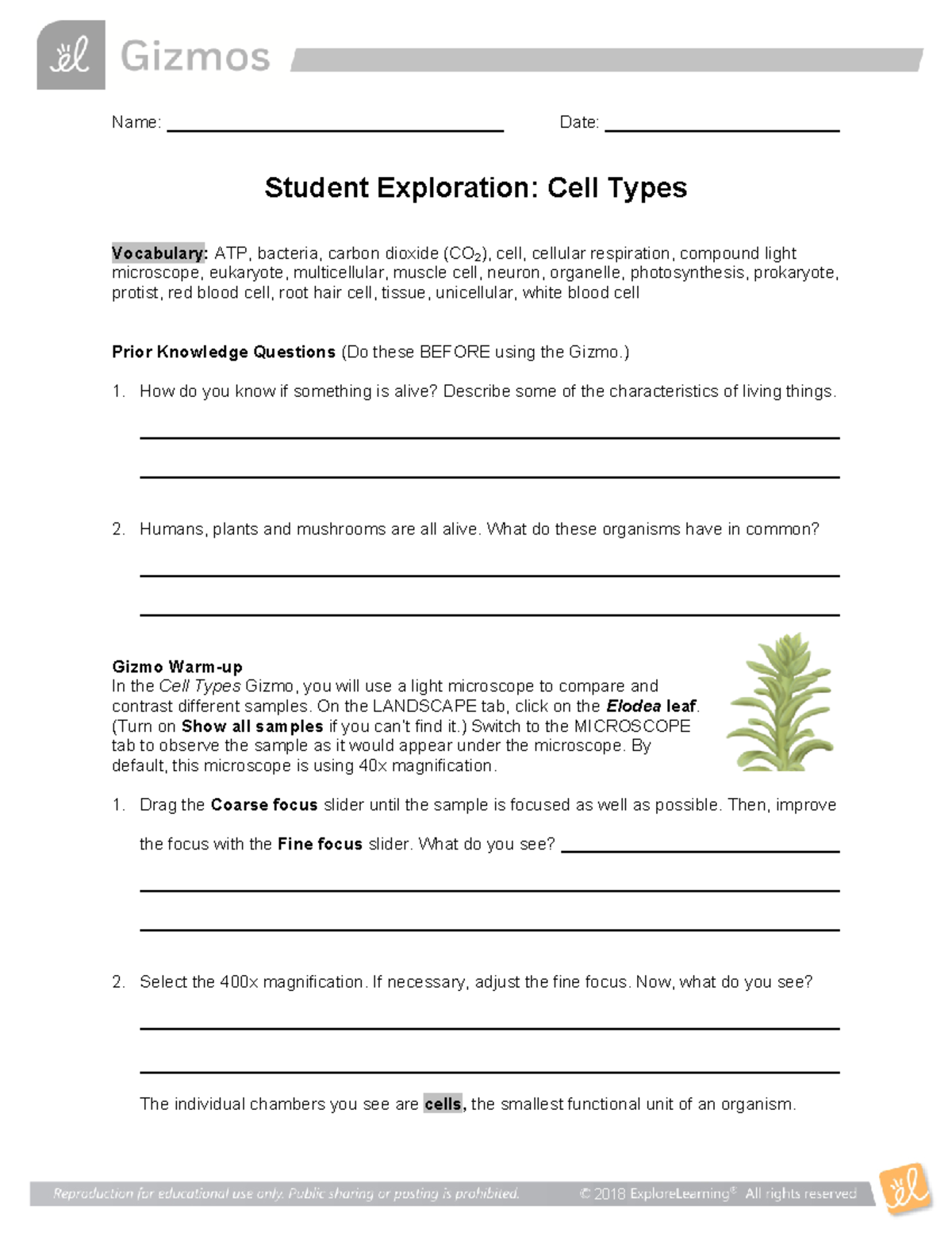 Annotated-Cell Types SE - Name: Date: Student Exploration: Cell Types ...