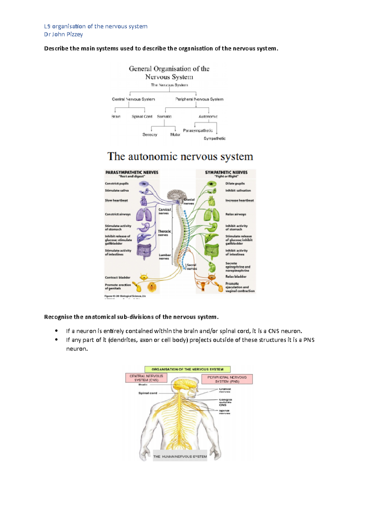 L9 Organisation of NS - Dr John Pizzey Describe the main systems used ...