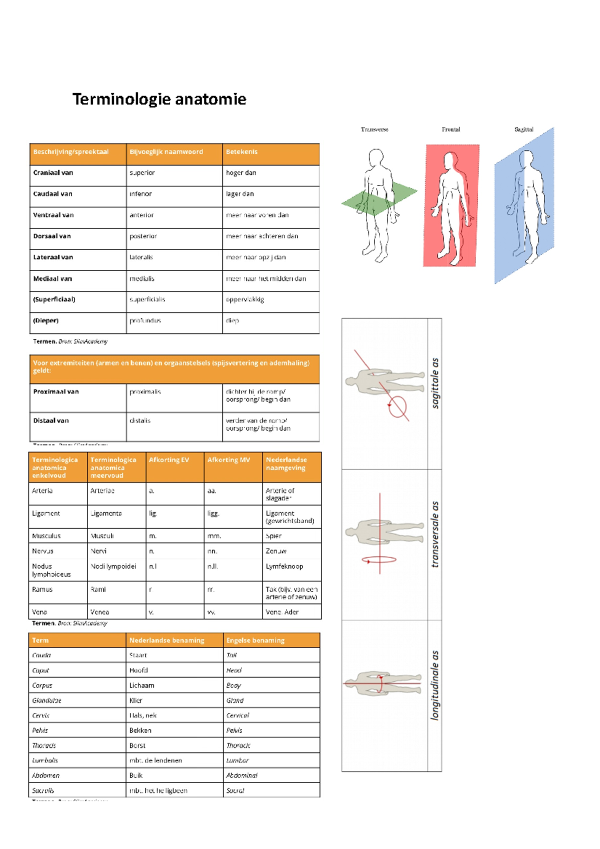Assen en vlakken anatomie - Geneeskunde - Terminologie anatomie ...
