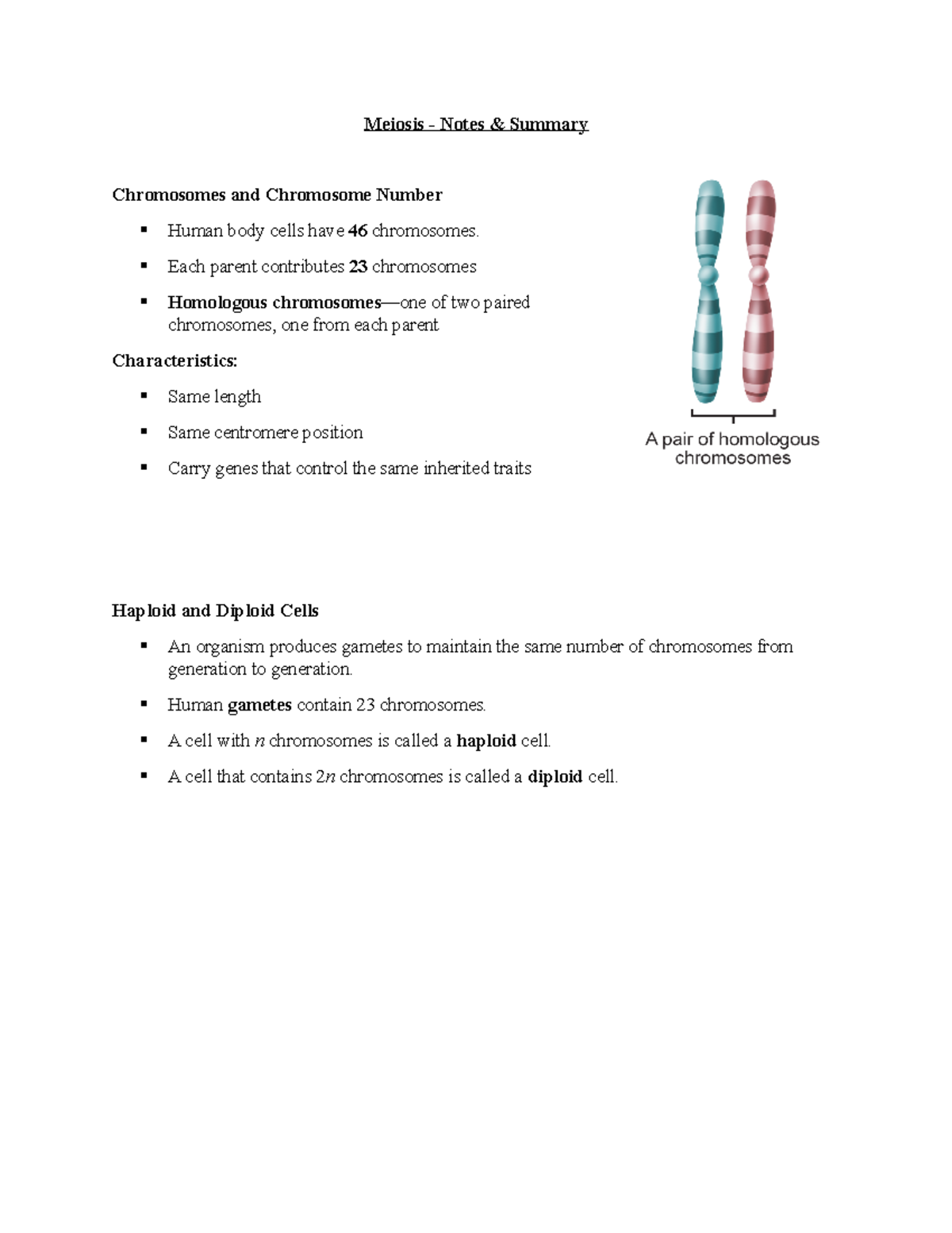 Meiosis - Notes & Summary - Meiosis - Notes & Summary Chromosomes and ...