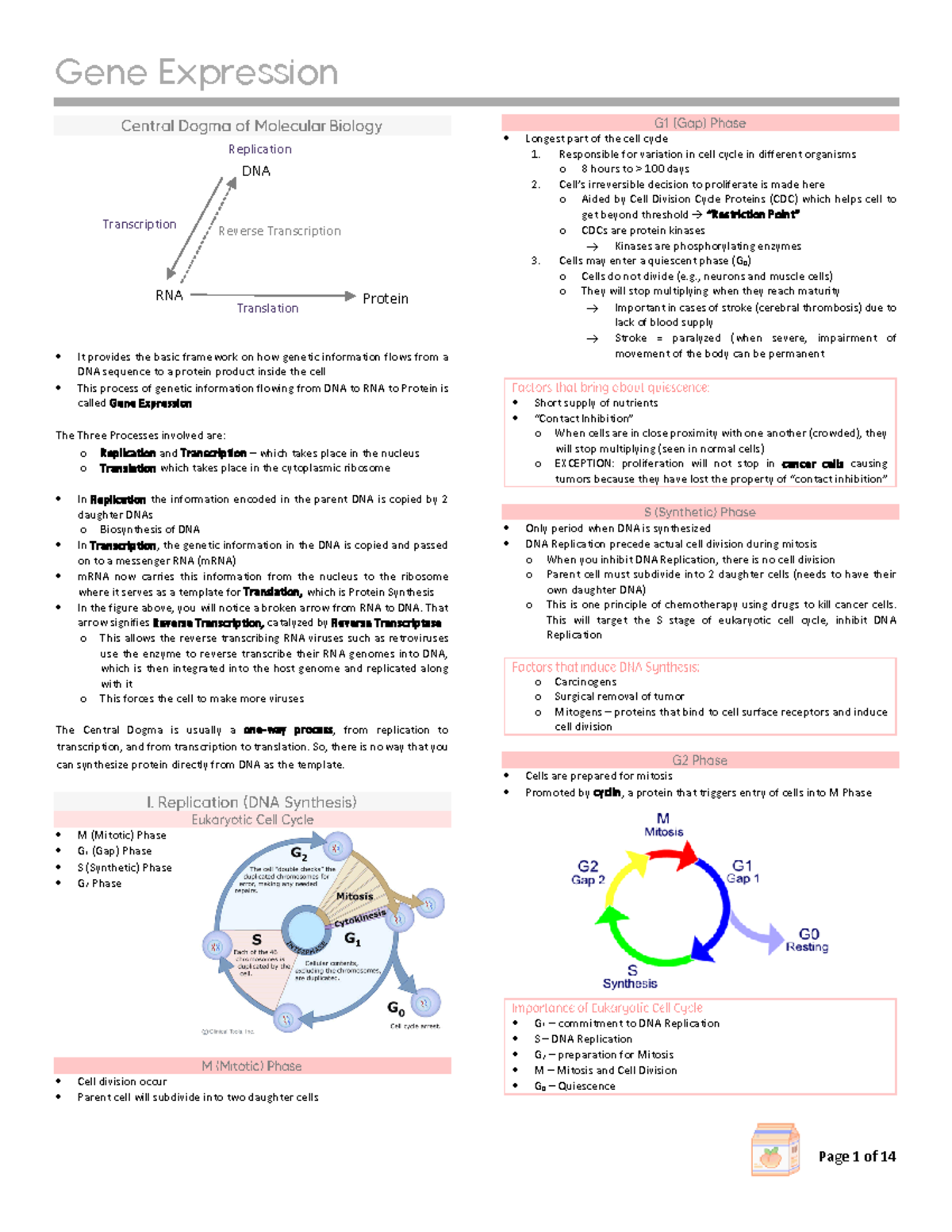 Gene Expression 1 - Gene Expression \ It provides the basic framework on how genetic information ...