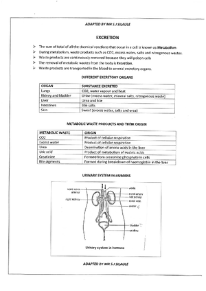 Life Sciences excretion Cheat Sheet + Diagrams-Grade 11 CAPS curriculum ...