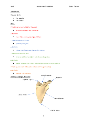 Spine and sacroiliac joint osteology and arthology - Art, Facet 6 ...