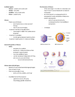 BIOS242 Week 1 Lab 1 Culture Transfer Techniques - Name: Lab 1: Culture ...