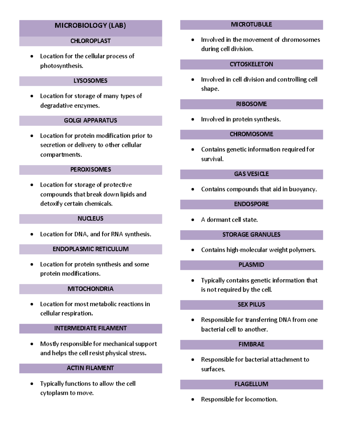 Microbiology-LAB- Reviewer - MICROBIOLOGY (LAB) CHLOROPLAST Location ...