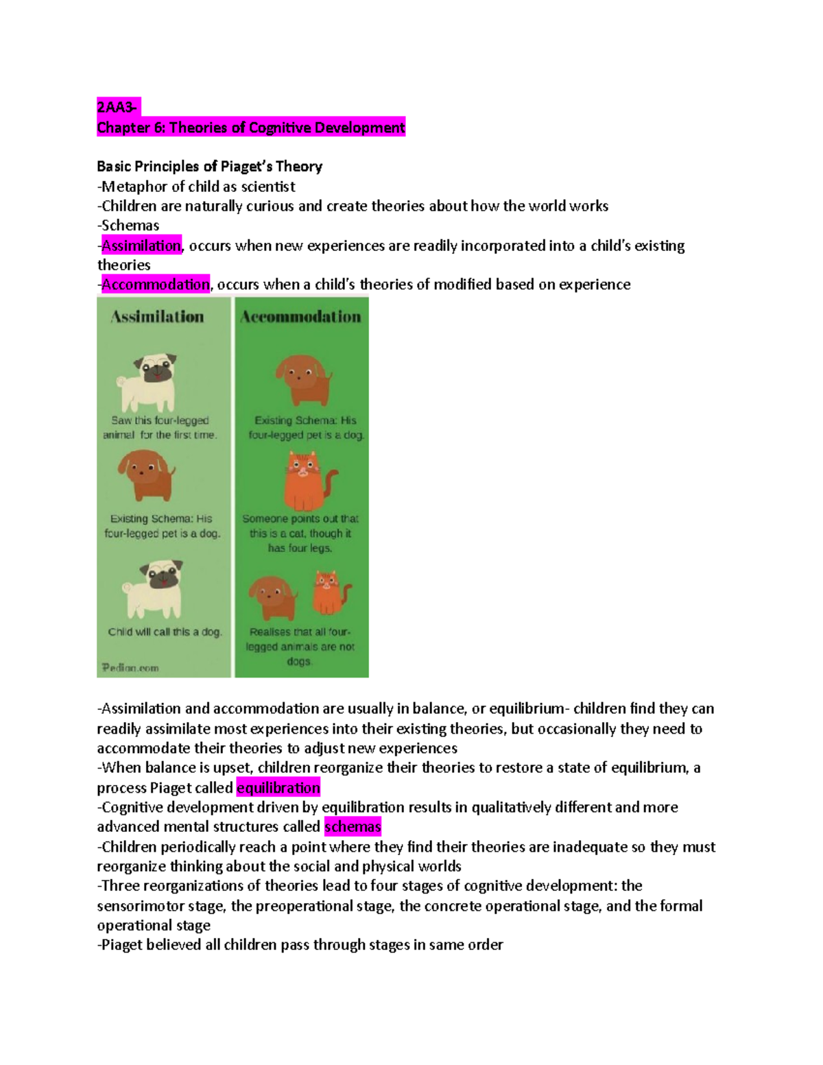 2AA3- Chapter 6 - 2AA3- Chapter 6: Theories of Cognitive Development ...
