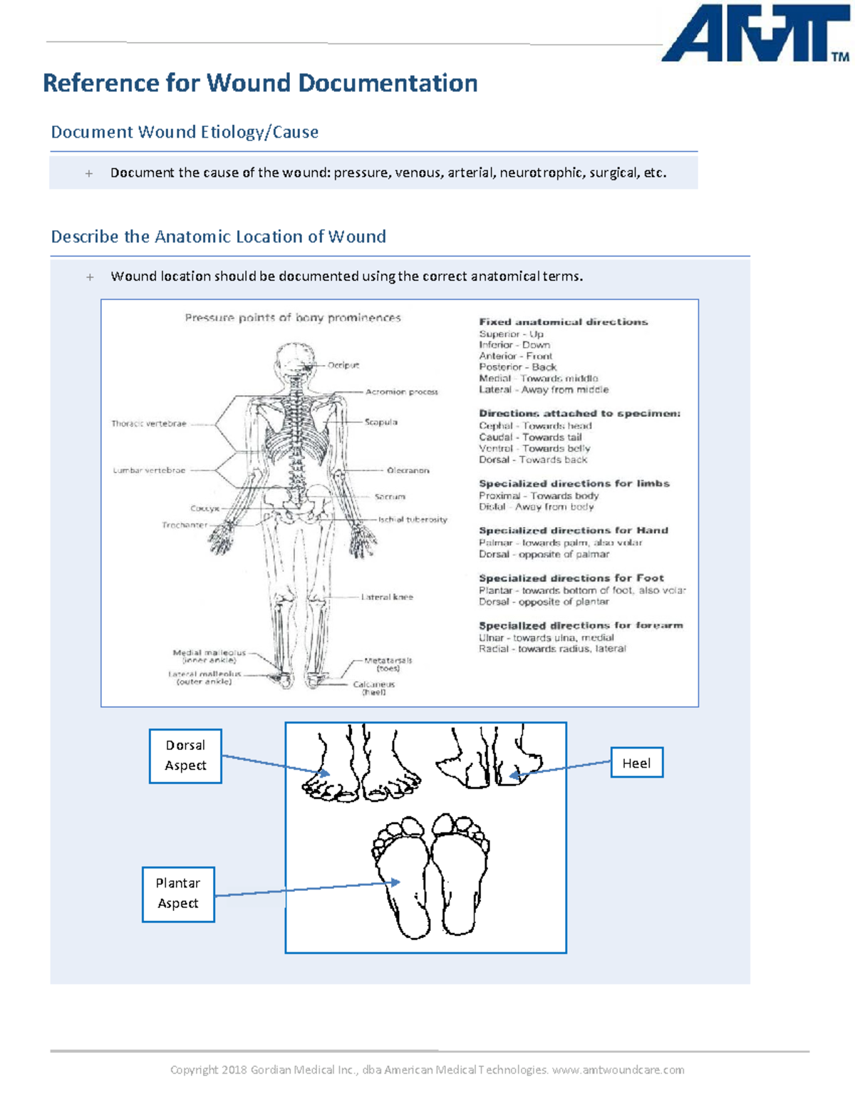 Amt-wound-documentation-reference -Como describirse una herida ...