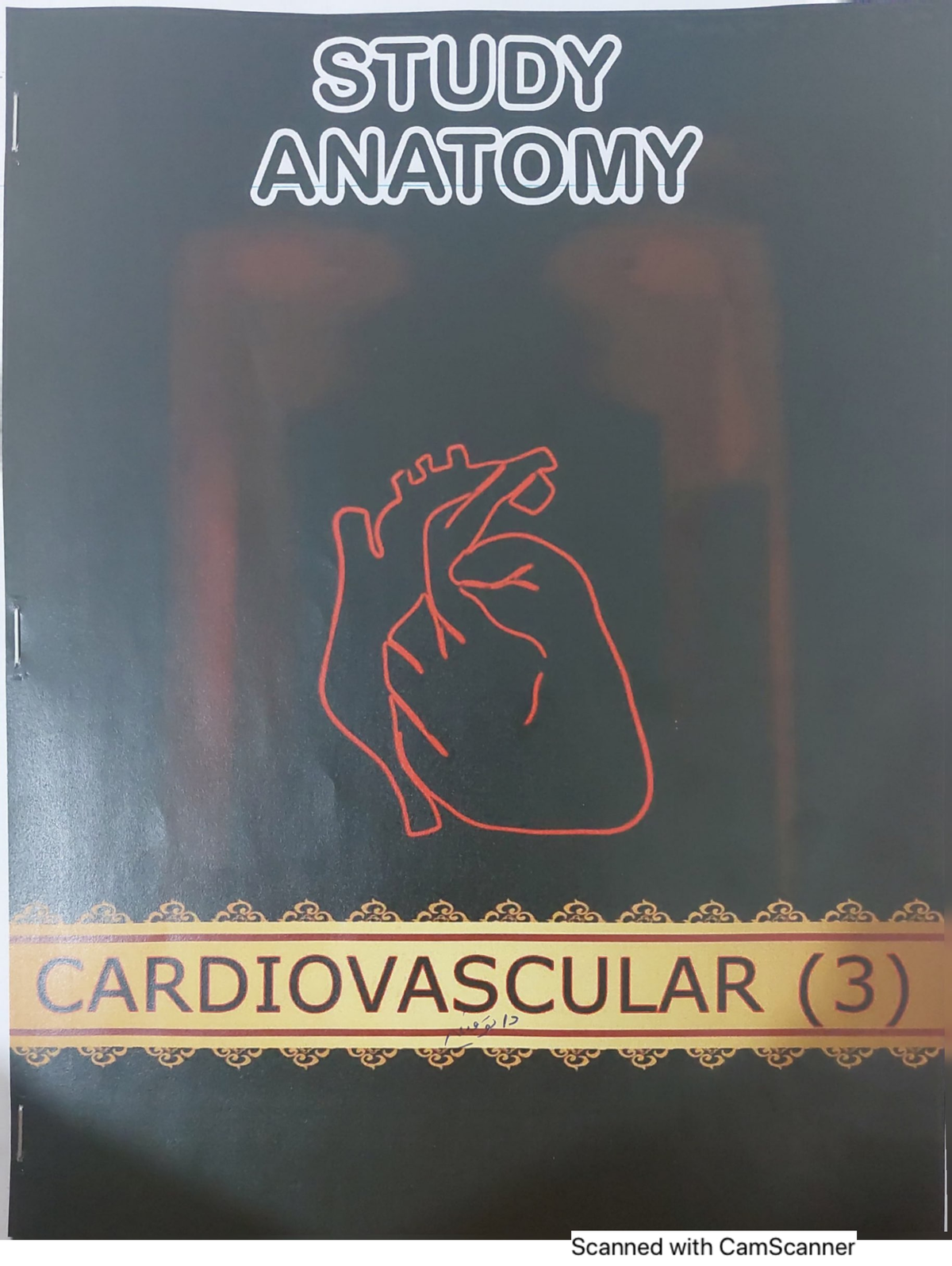 Cvs 3 - cvs 3 - Anatomy - Studocu
