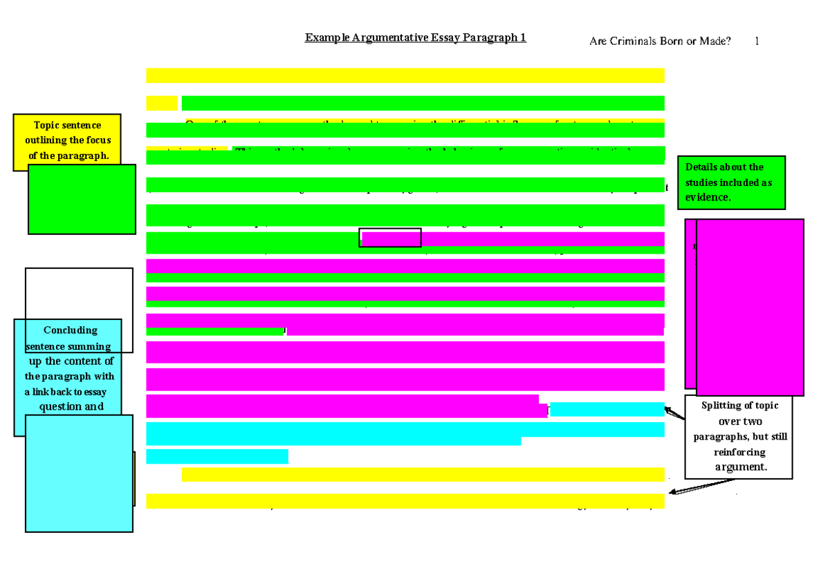 Example Argumentative Essay Paragraphs - Concluding sentence summing up ...