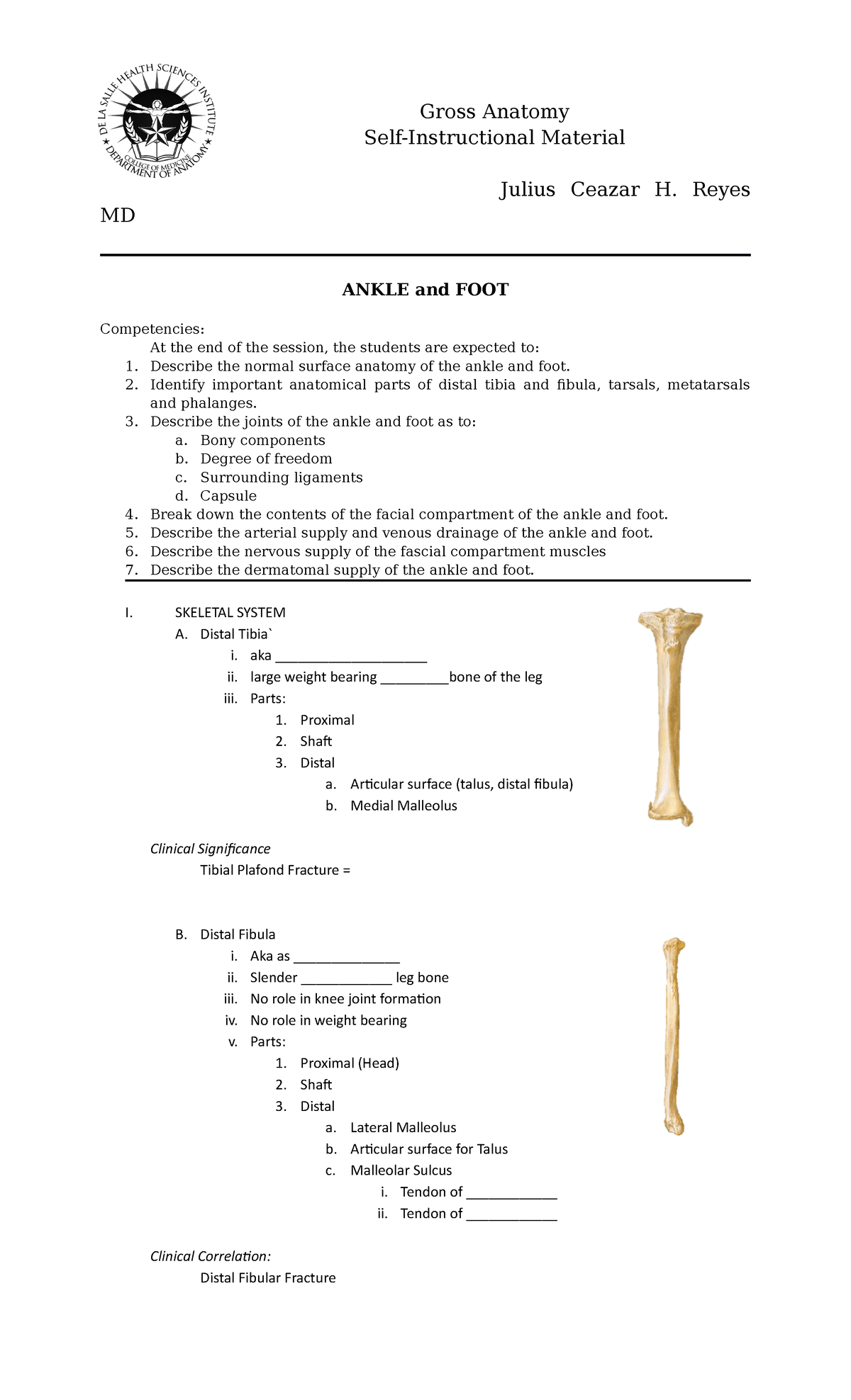Ankle and Foot SIM - yes - Gross Anatomy Self-Instructional Material ...