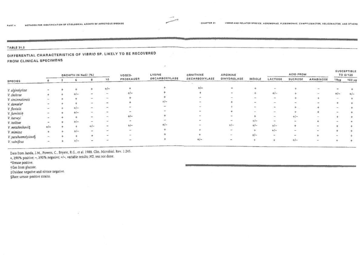 Practical 4 - Vibrio identification - Hunt. 1 .. a mum AND RILAYIB ...