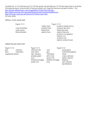 Week 7 PRE REC - assignment/questions for lecture - Pre-Recitation ...