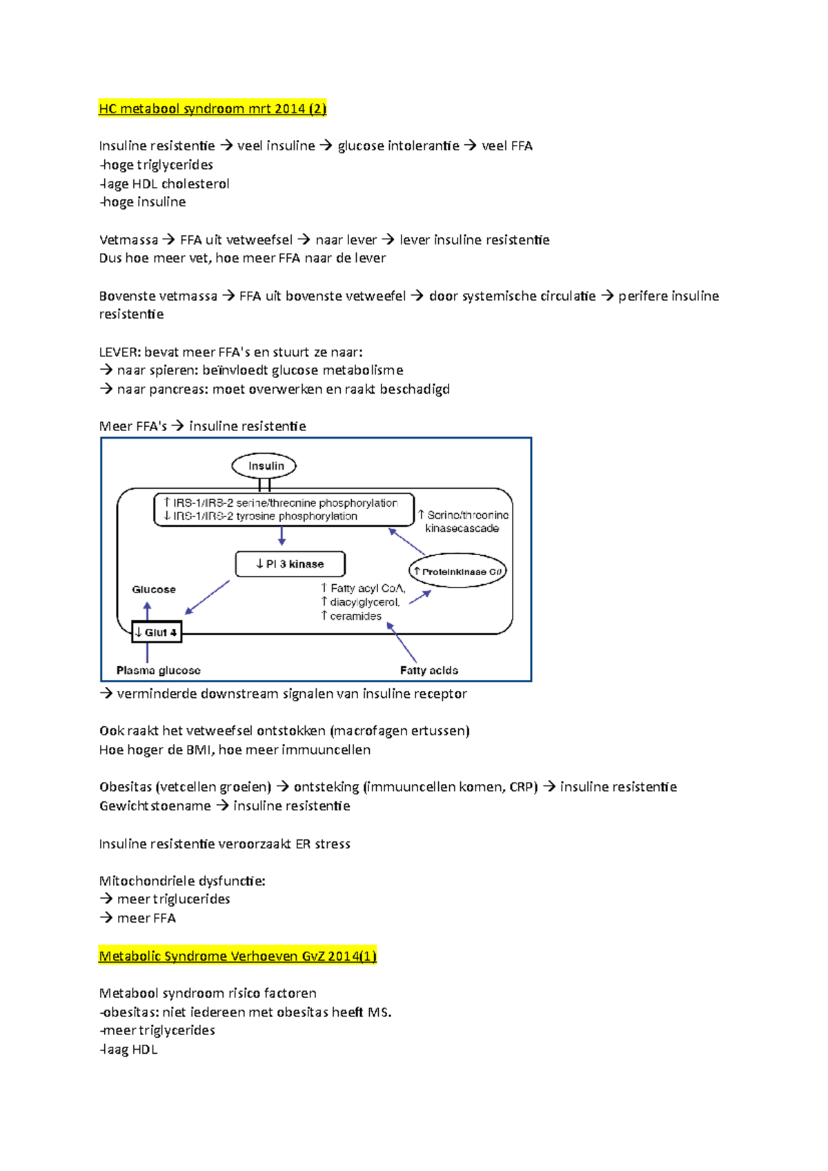 Rode draad metabool syndroom samenvatting - HC metabool syndroom mrt ...