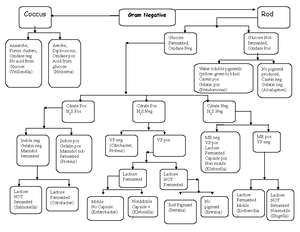 CBAM 108S108 - sdaasda - Castro, Cyrille Anne BAM 108-SECTION 108 What ...