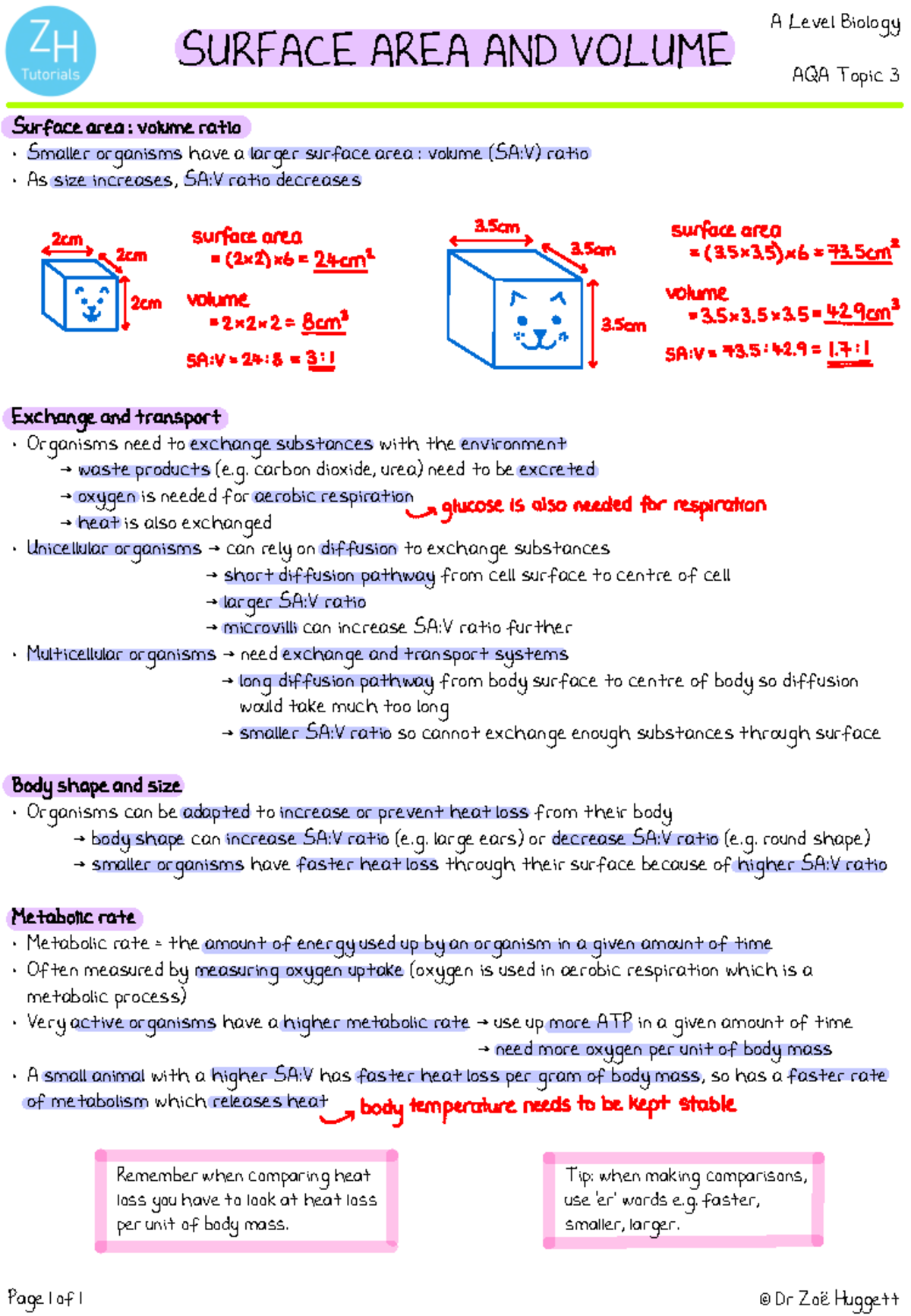 Exchange 2 - SURFACE AREA AND VOLUME AQA Topic 3 Surface area : volume ...