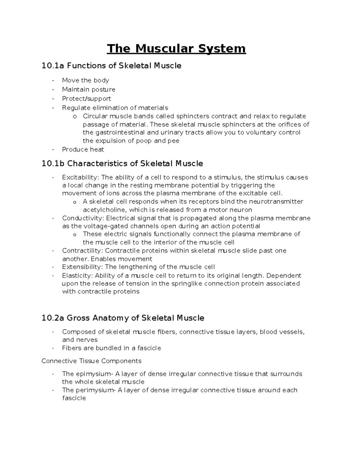 The Muscular System Notes - The Muscular System 10 Functions of ...