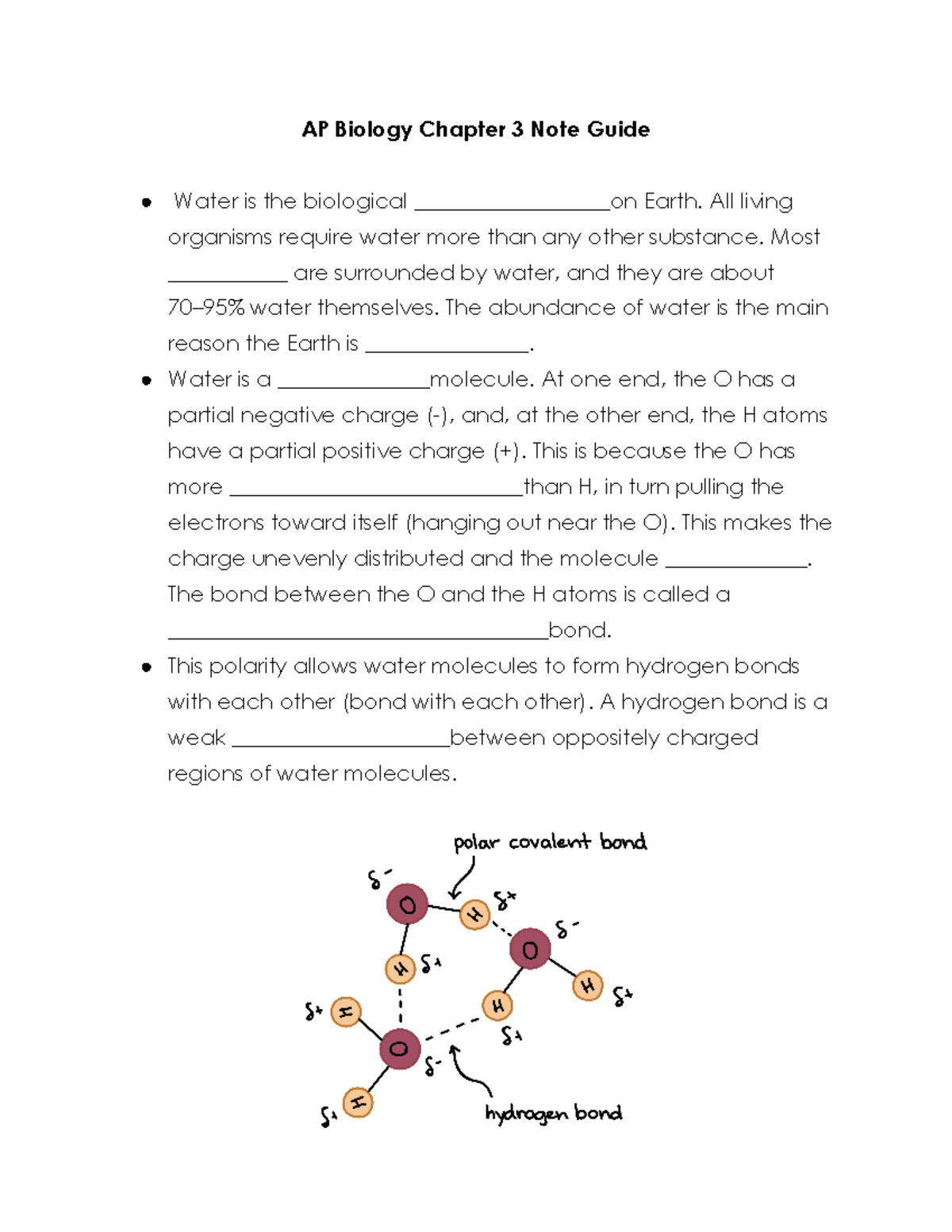 AP Biology Chapter 3 - All living organisms require water more than any ...