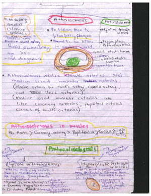 7 Human nutrition Topic Booklet 1 CIE Igcse Biology - Human nutrition ...