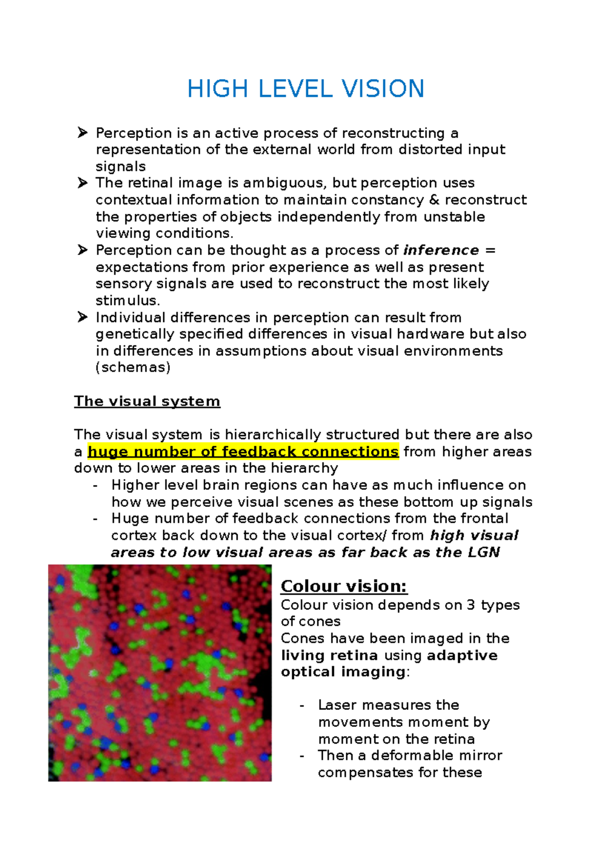 HIGH Level Vision - Lecture notes 3 - HIGH LEVEL VISION Perception is ...