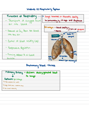 Physiology - Module 6: Nervous System Central Nervous System (CNS)