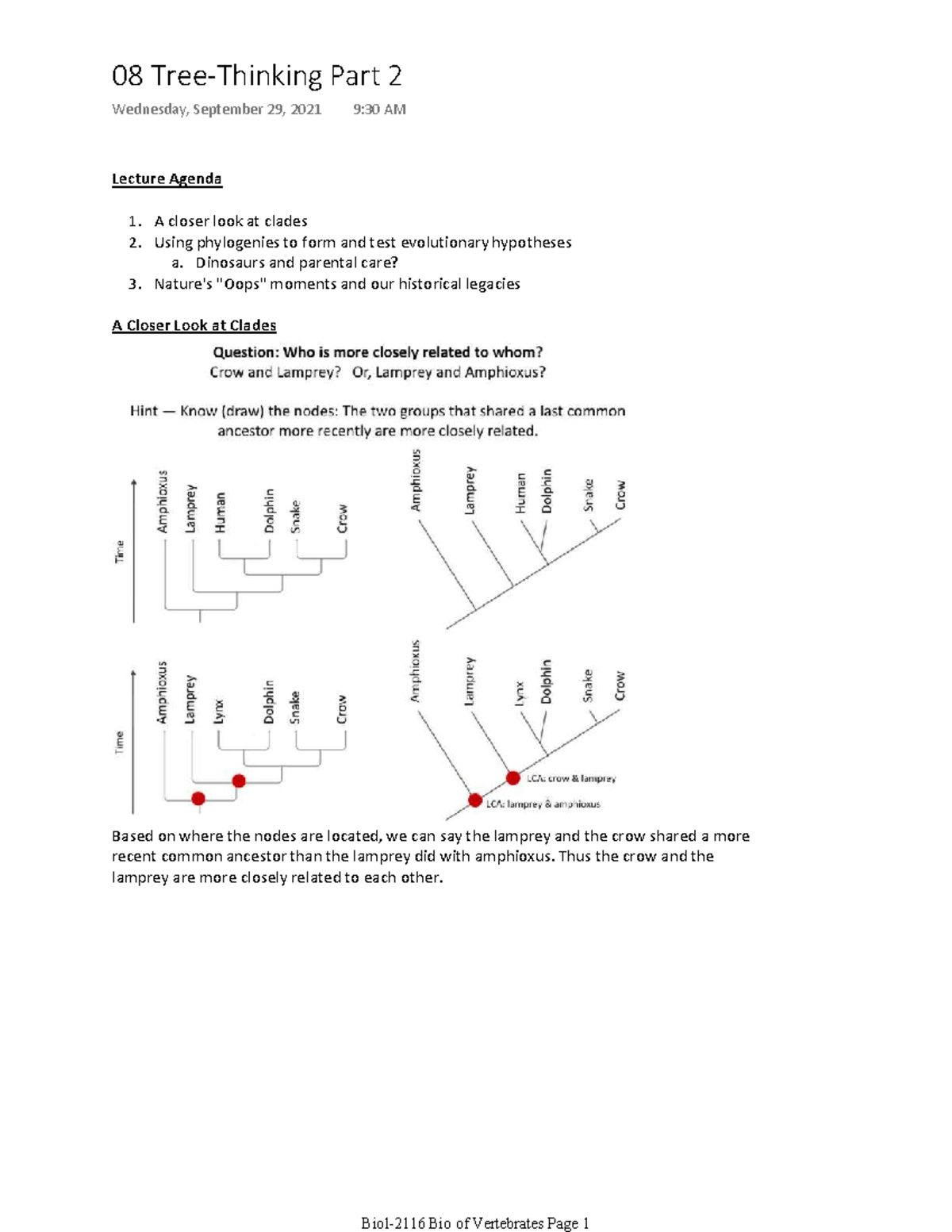 08 Tree-Thinking Part 2 - BIOL-2116 - U of W - Studocu