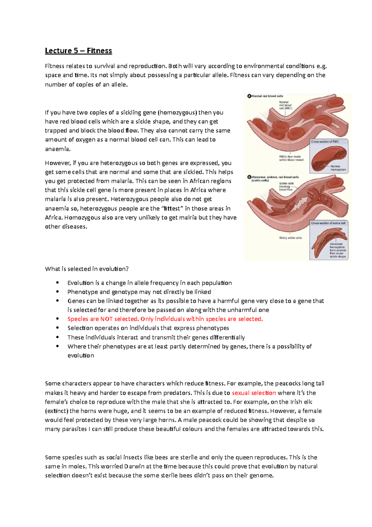 Lecture 5 Fitness - notes - Lecture 5 – Fitness Fitness relates to ...