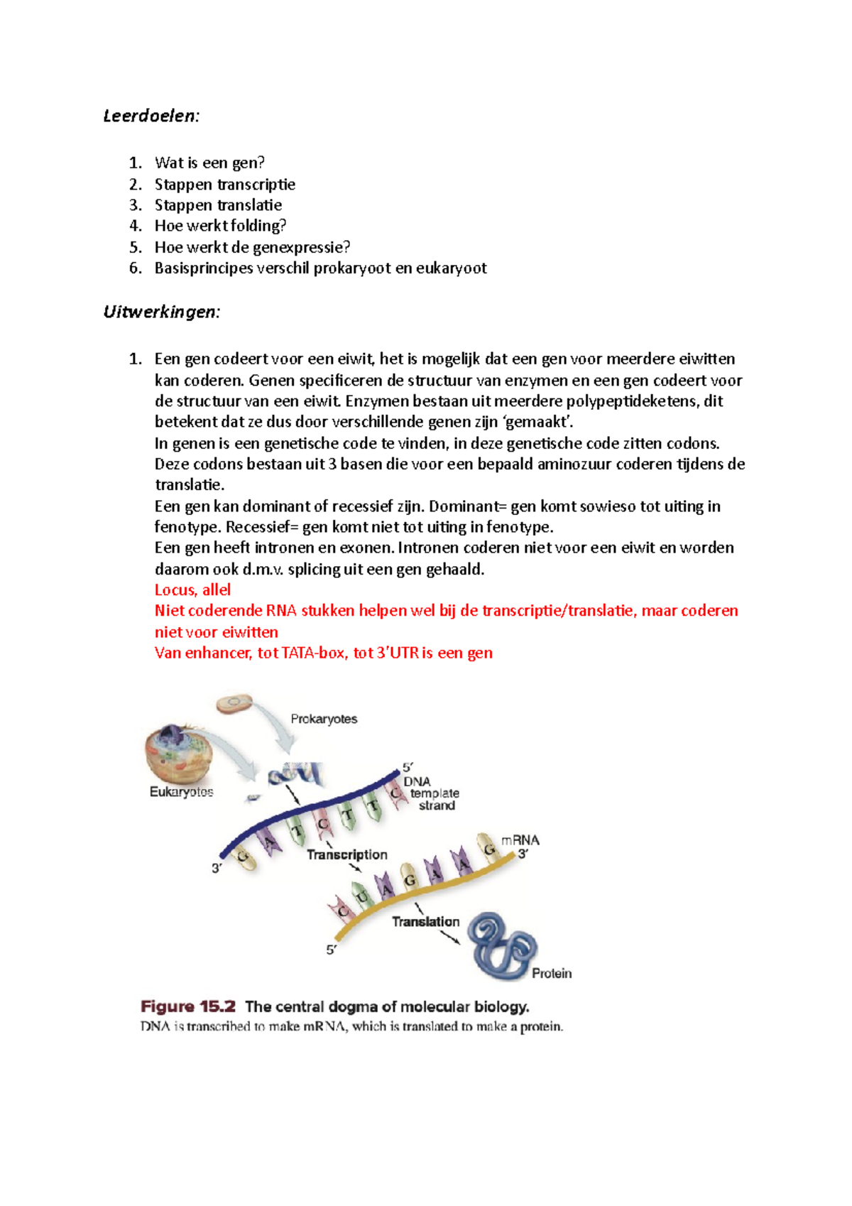 Casus 2 - Leerdoelen: Wat is een gen? Stappen transcriptie Stappen translatie Hoe werkt folding ...
