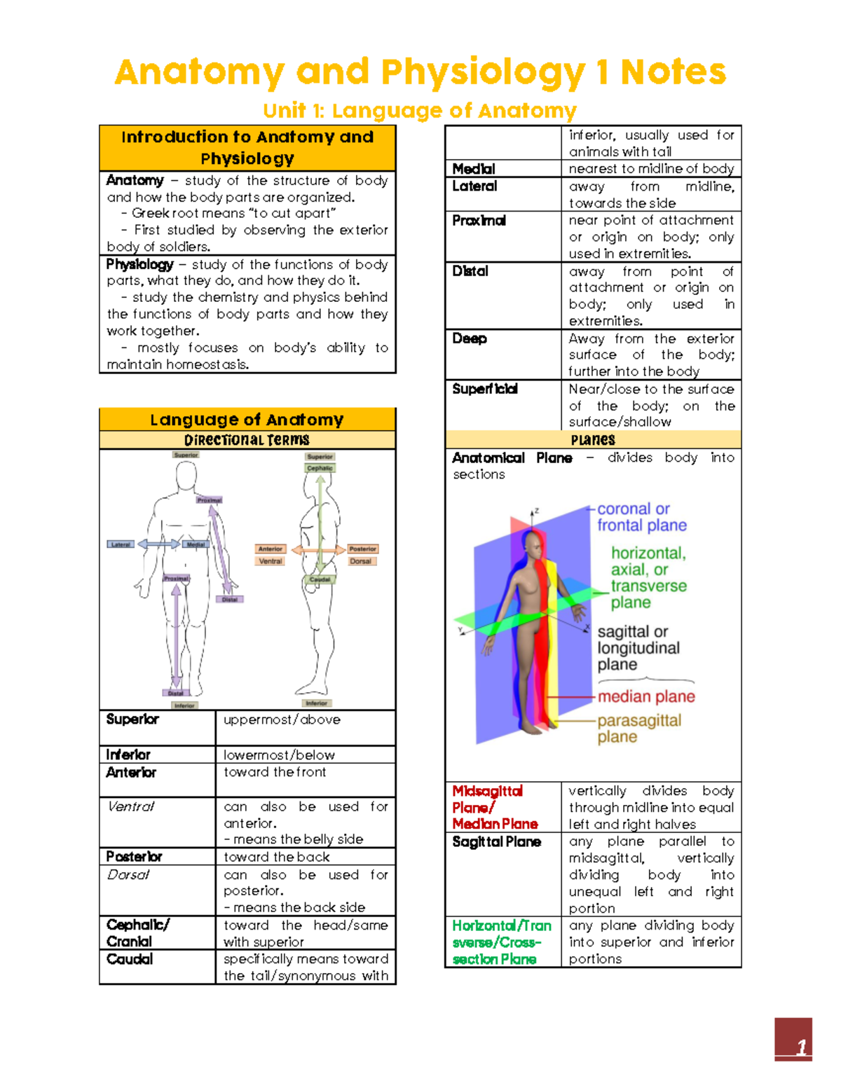568980922 Ana Phy 1 Unit 1 Language of Anatomy - Unit 1: Language of ...