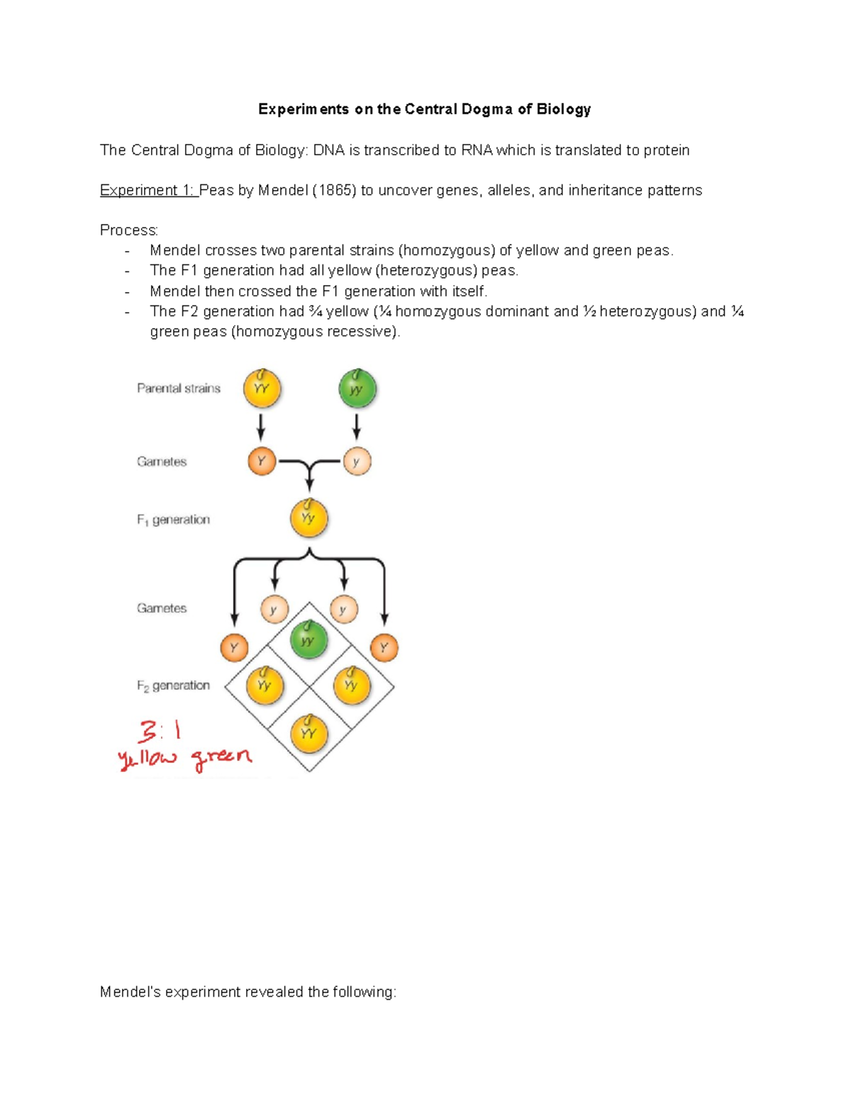 Cell Biology (BI203) Chapter 3 - Experiments on the Central Dogma of Biology The Central Dogma ...