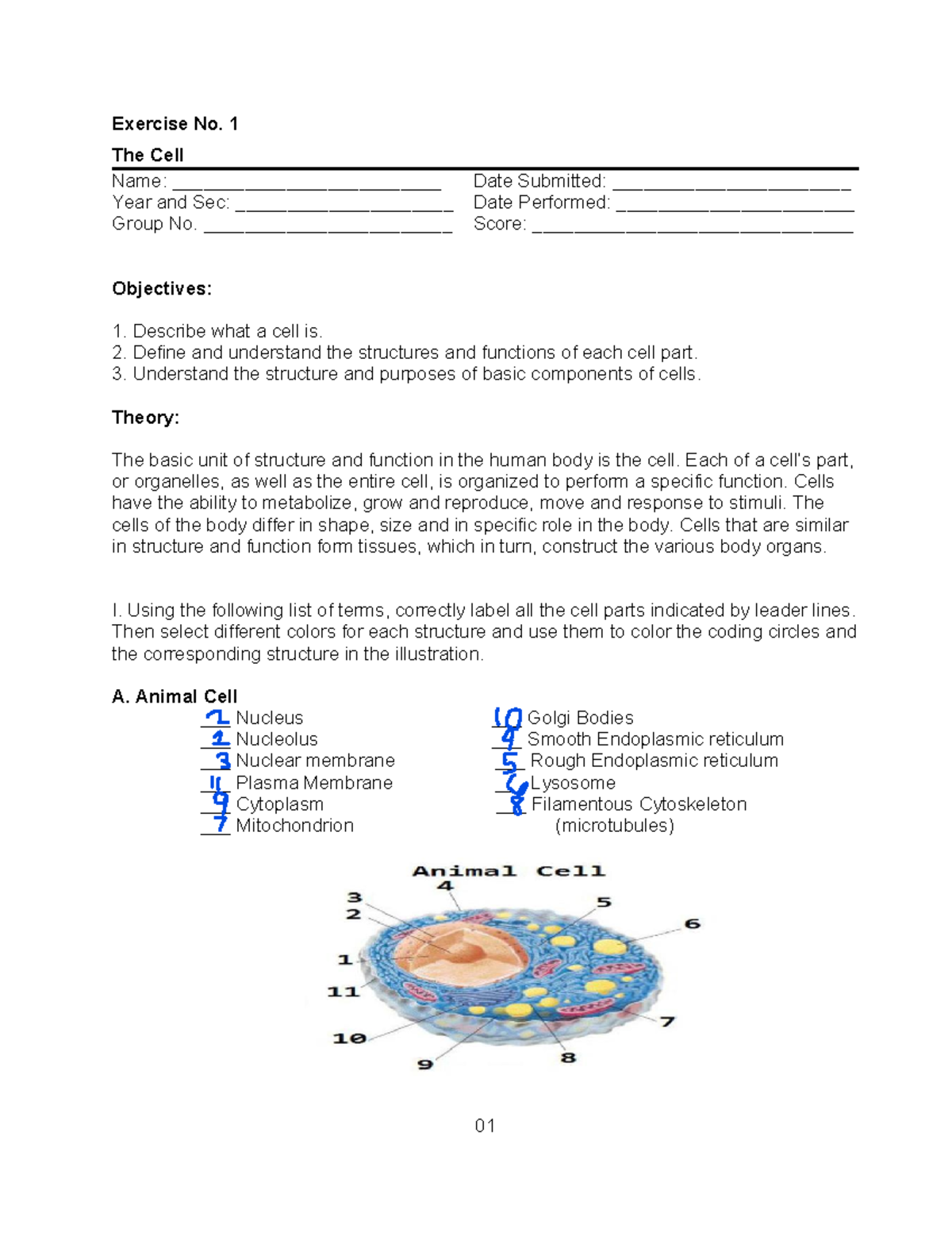 Exercise 1 - Exercise No. 1 The Cell Name ...