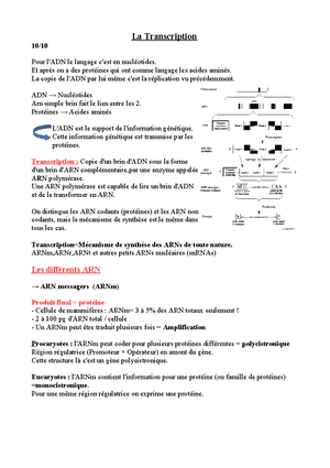 TP génétique drosophile - TP de génétique Compte rendu 1) Introduction ...