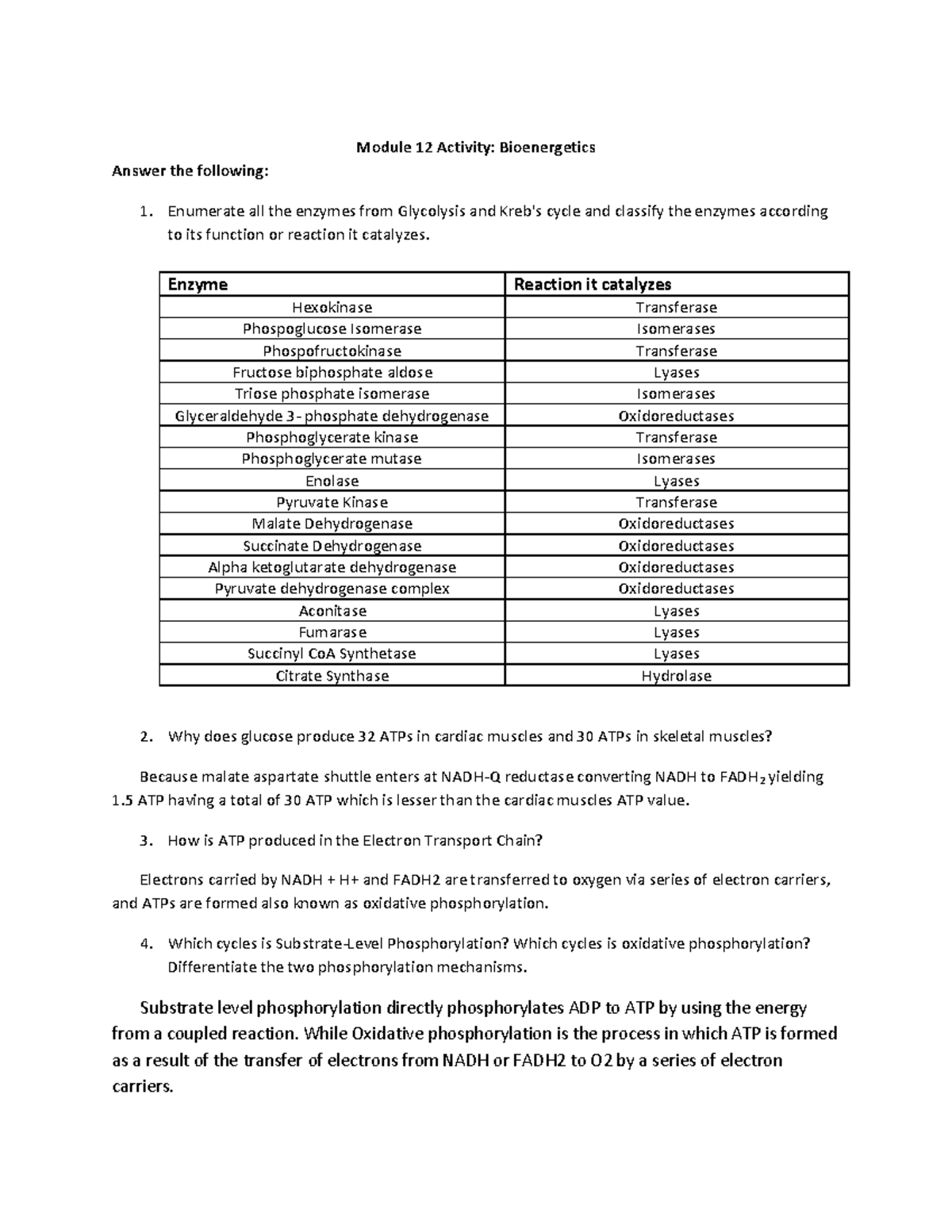 Biochemistry Module 12 Activity Bioenergetics - Module 12 Activity ...