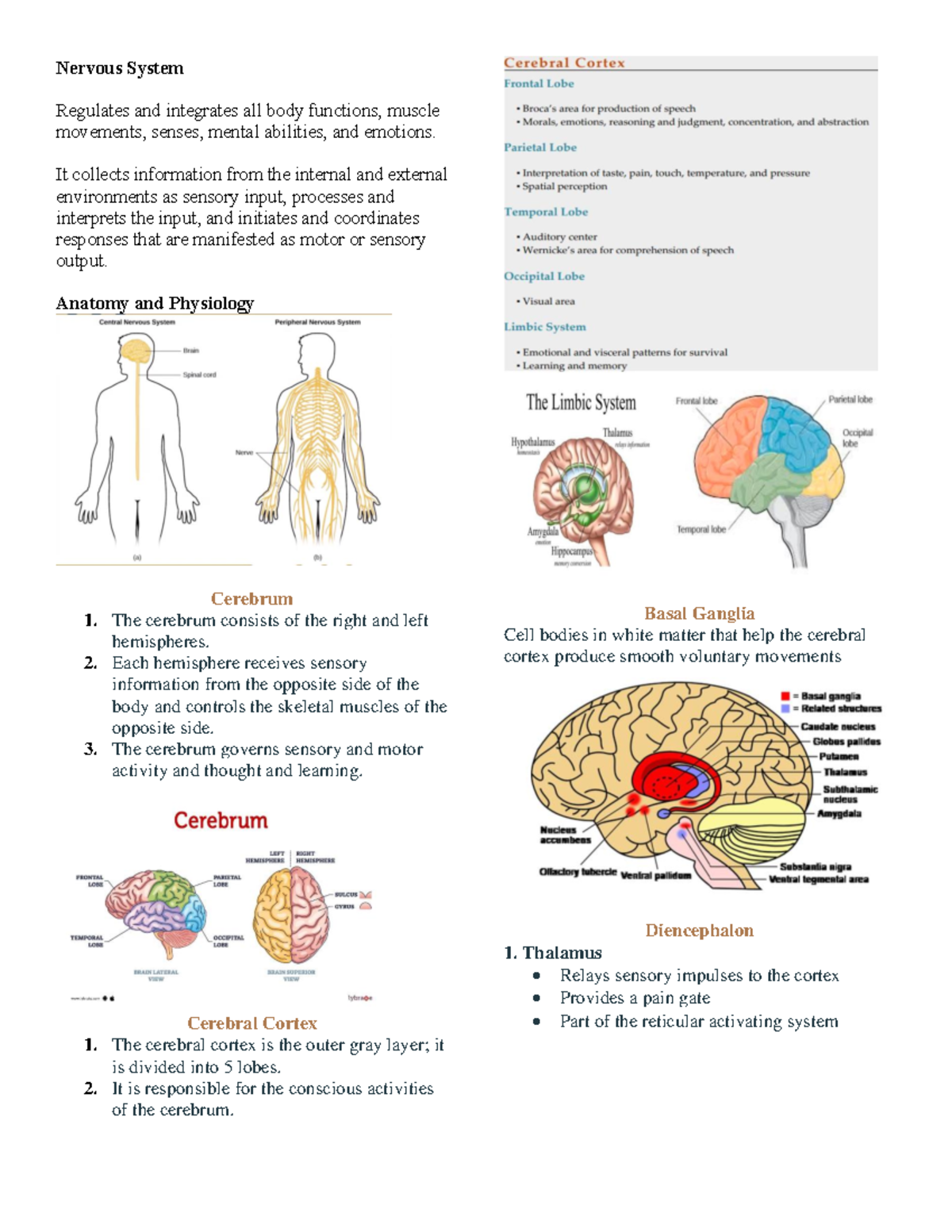 Nervous System - Nervous System Regulates and integrates all body ...