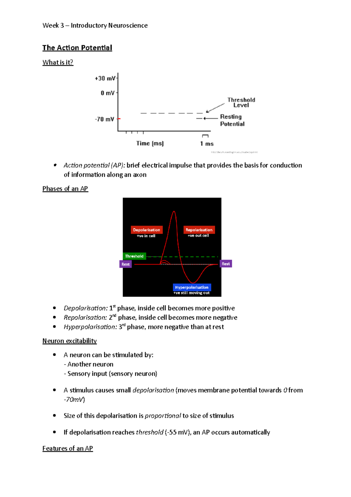 Completed notes week 3 - The Action Potential What is it? Action ...