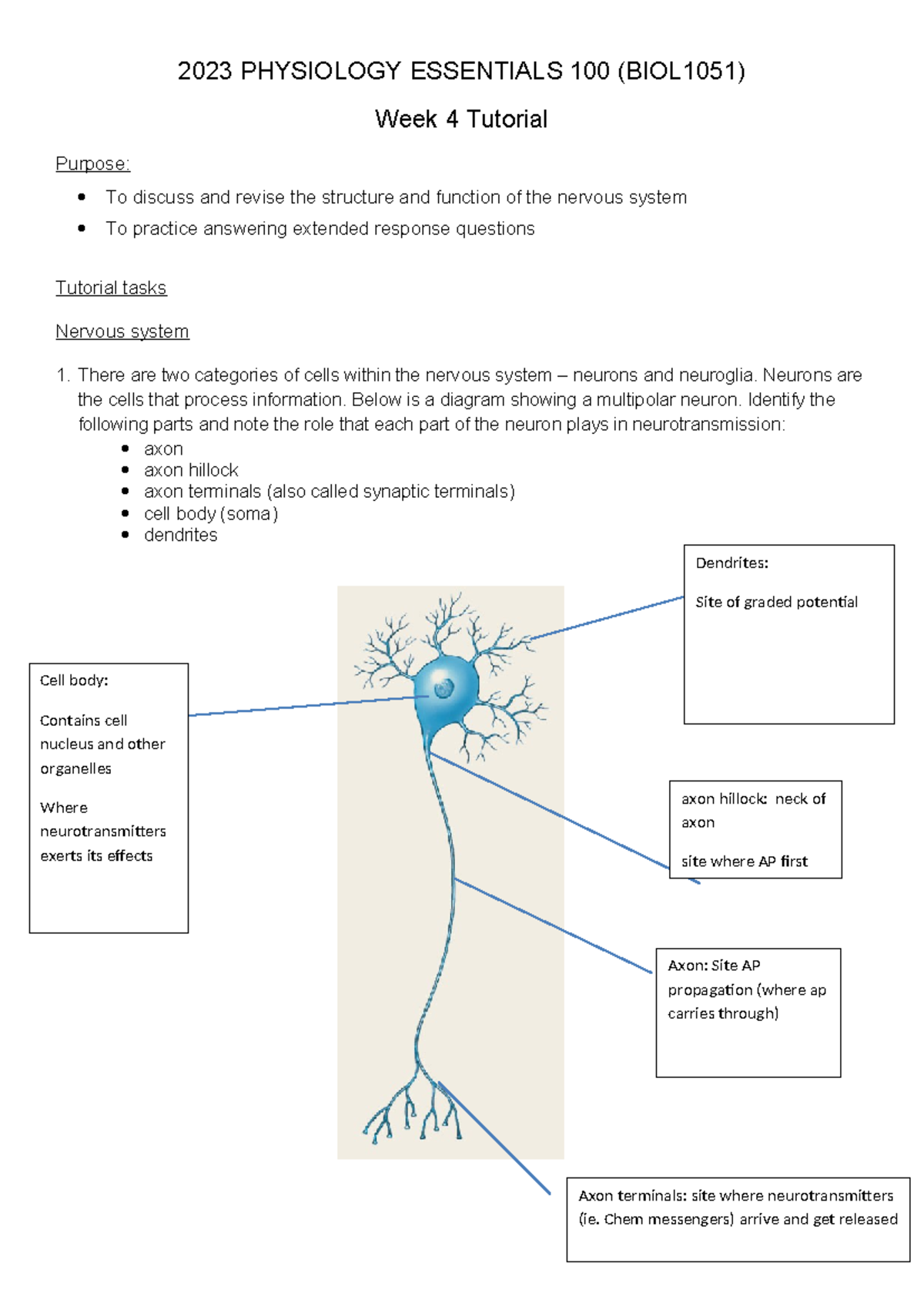 Week 4 nervous system tutorial - 2023 PHYSIOLOGY ESSENTIALS 100 (BIOL1051) Week 4 Tutorial ...