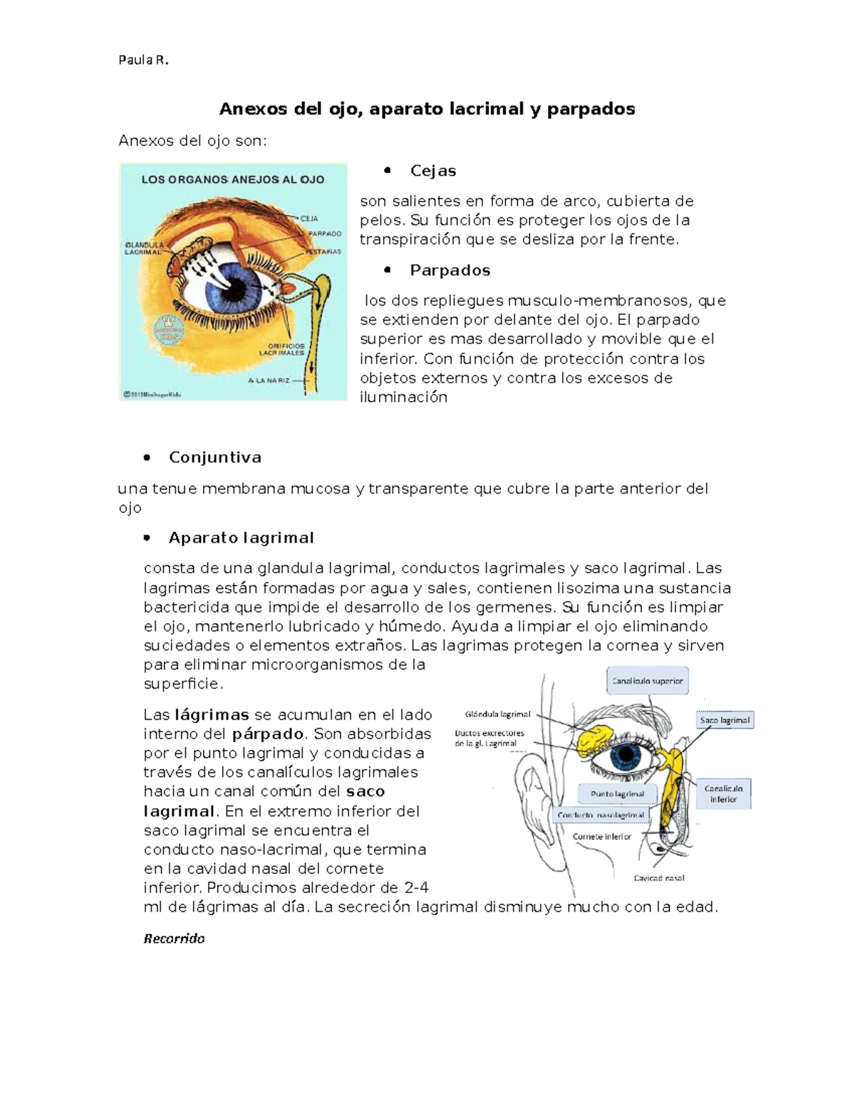 Anexos del ojo - Paula R. Anexos del ojo, aparato lacrimal y parpados ...