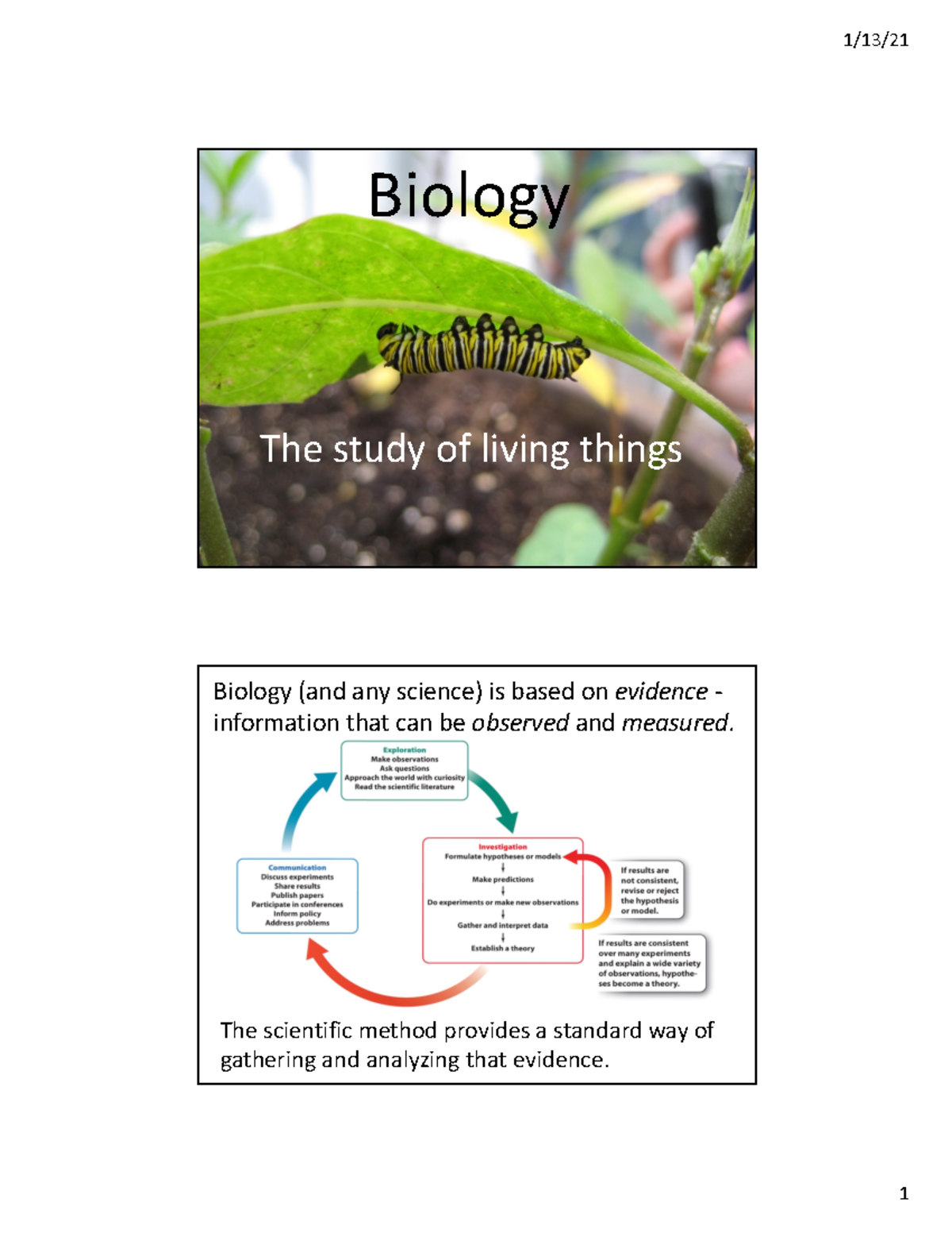 01intro to biology W 21 - lecture slides - Biology The study of living ...