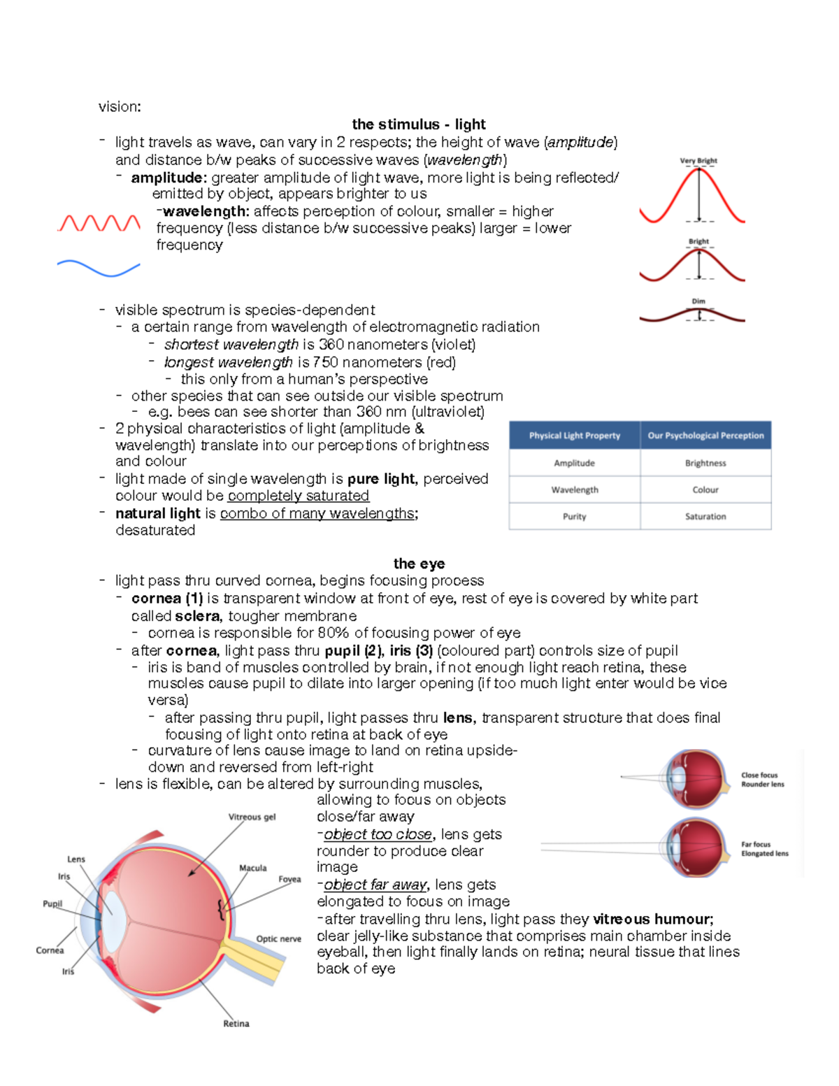 4. vision - vision: the stimulus - light - light travels as wave, can ...
